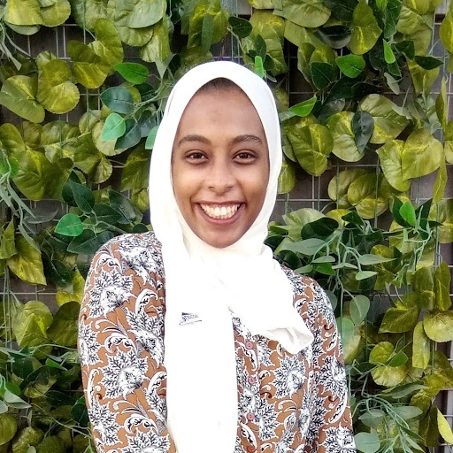 Ozaria - Computer science that captivates